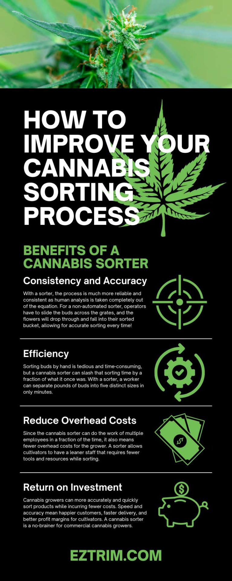 How To Improve Your Cannabis Sorting Process